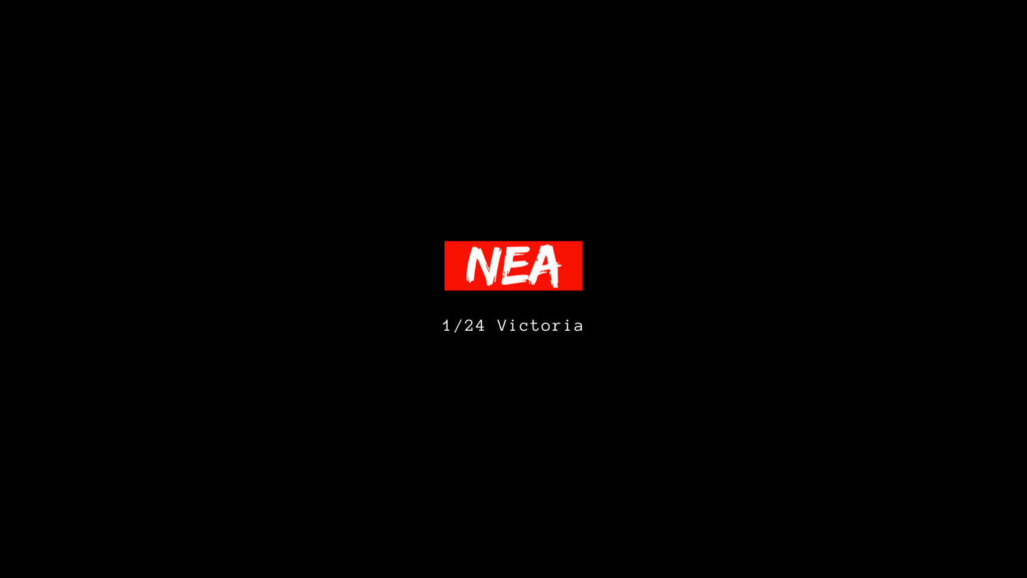 MARCA DE ROPA STREETWEAR – NEA